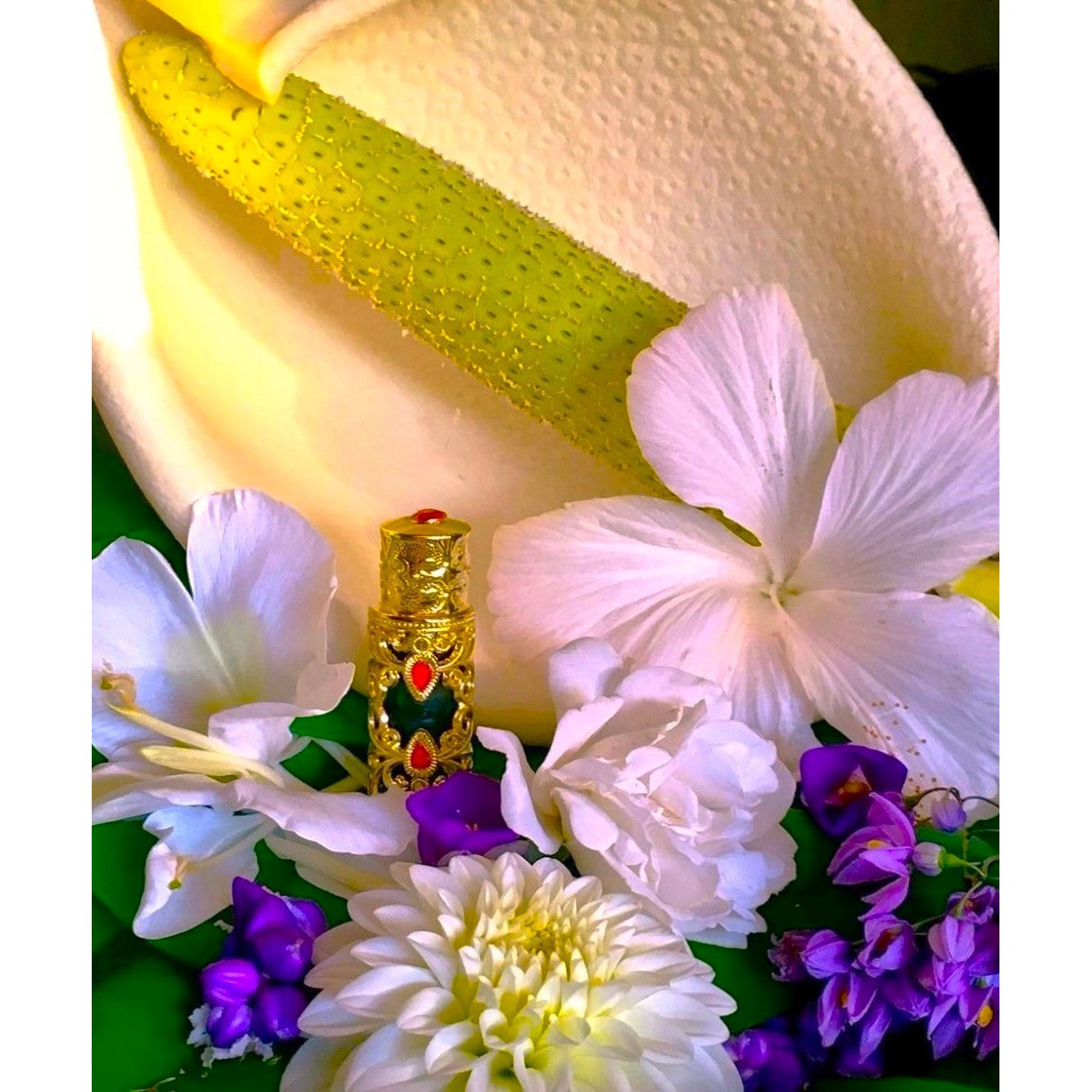 The Amma Shop